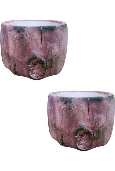 Veraart 2'li Ağaç Saksı