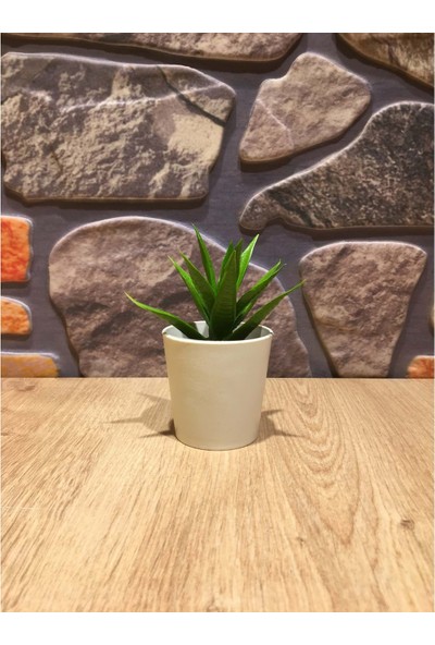 Yapay Mini Sukulent 6X12 cm