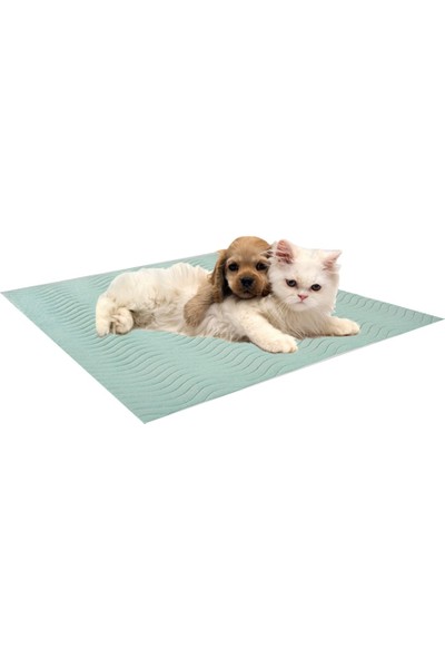 CDE 2'li Paket 5 Katlı Kapitoneli, Yıkanabilir, Sıvı Geçirmez Köpek Çiş Pedi 75 x 90 cm CDE 2'li Paket 5 Katlı Kapitoneli, Yıkanabilir, Sıvı Geçirmez Köpek Çiş Pedi 75 x 90 cm