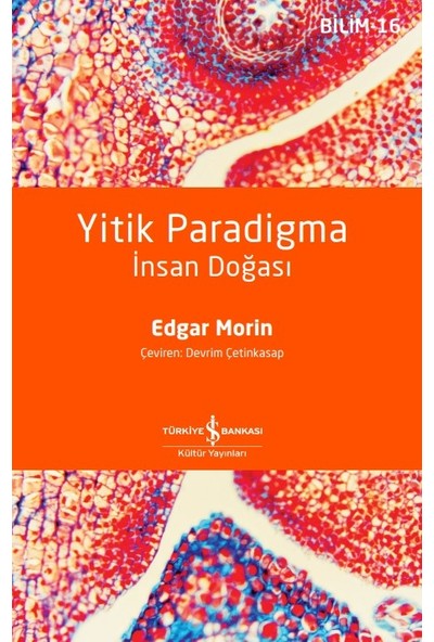 Yitik Paradigma – Insan Doğası – Edgar Morin Yitik Paradigma – Insan Doğası – Edgar Morin