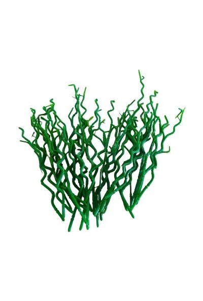 Botanik Bahçesi 30 Adet Yapay Kıvırcık Bambu Çubukları 15-20 cm Boy Yeşil Bitki Çiçek Botanik Bahçesi 30 Adet Yapay Kıvırcık Bambu Çubukları 15-20 cm Boy Yeşil Bitki Çiçek