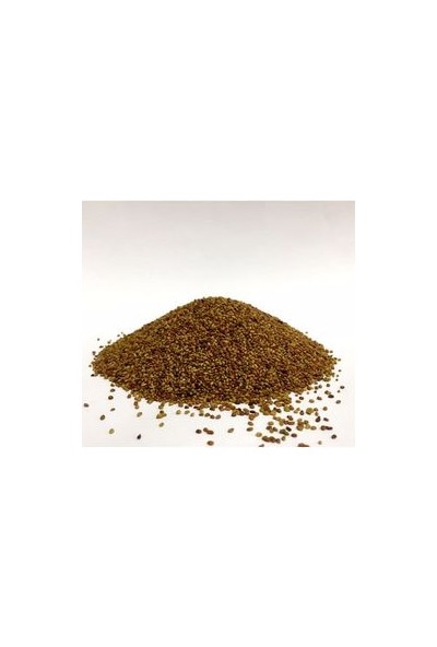 YGrass Seed onca Tohumu 1 kg YGrass Seed onca Tohumu 1 kg