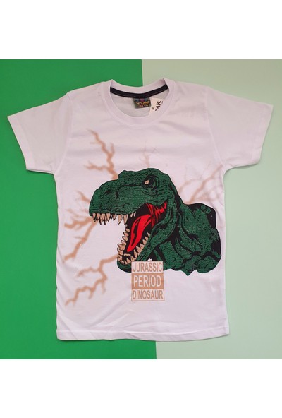 Minimio Kids Erkek Çocuk Dinazorlu Tişört