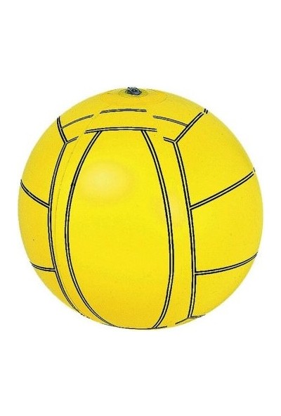 Hgüneyli Denız Topu 40CM Hgüneyli Denız Topu 40CM