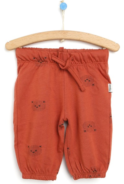 Antebies Sevimli Ayı Organik Patiksiz Alt