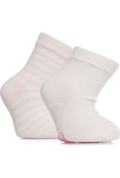 Step 2 Li Abs Hello World Soket