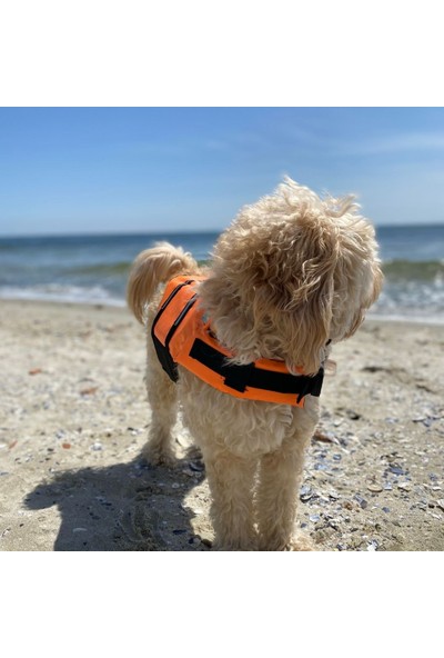 Fluffy Buddies Store Köpekler Için Reflektörlü Can Yeleği