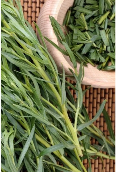 Balıkesir Tohum Tarhun Fidesi Viyolde 5-10 Cm 5 Adet