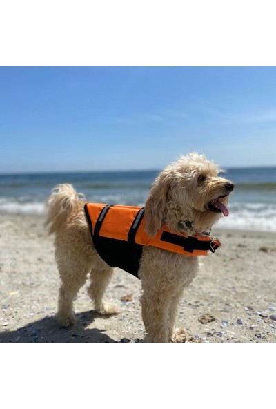 Fluffy Buddies Store Köpekler Için Reflektörlü Can Yeleği