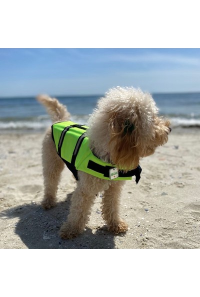 Fluffy Buddies Store Köpekler Için Reflektörlü Can Yeleği