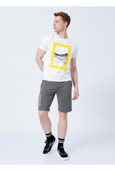National Geographic Forest Lastikli Standart Kalıp Baskılı Gri Erkek Sweat Şort National Geographic Forest Lastikli Standart Kalıp Baskılı Gri Erkek Sweat Şort