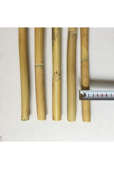 Fidan Destek Çubuğu Kamış 180-190CM 25 Adet Fidan Destek Çubuğu Kamış 180-190CM 25 Adet