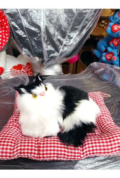 Ciwanan Aksesuar Sesli Sensörlü Pamuk Siyah Beyaz Kedi +Minderi