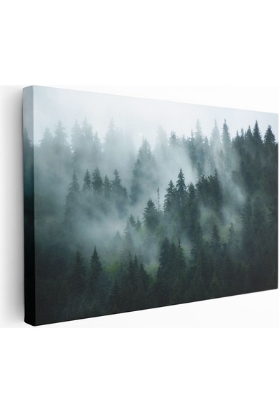 DCCA4928 - Sisli Orman Kanvas Tablo