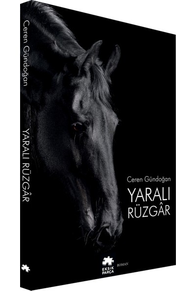 Yaralı Rüzgar - Ceren Gündoğan