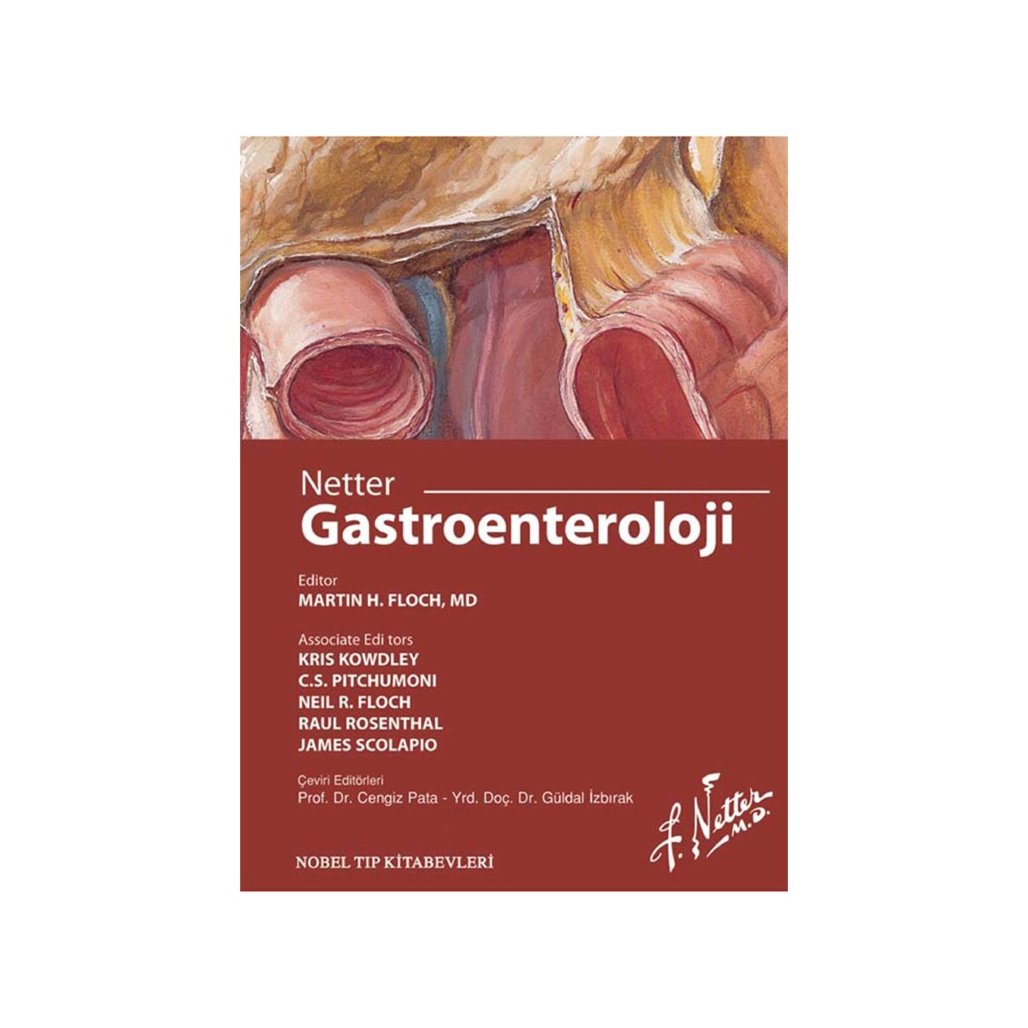 Netter Gastroenteroloji Kitabı ve Fiyatı - Hepsiburada