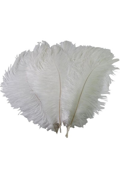 Brode Vazo Dekoratif Deve Kuşu Tüyü Beyaz ( 20-25 cm ) Brode Vazo Dekoratif Deve Kuşu Tüyü Beyaz ( 20-25 cm )