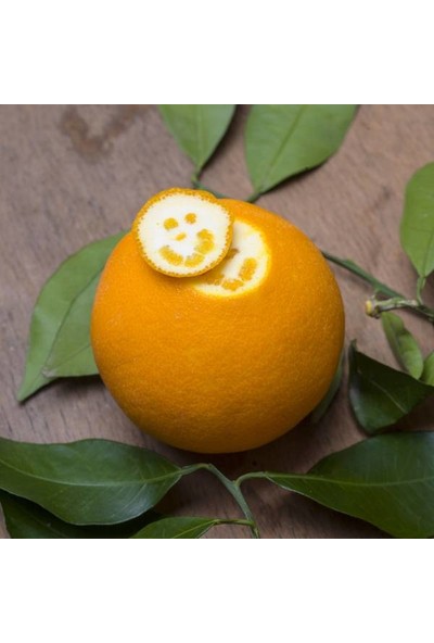Mutlu Sebzeler Portakal Sıkmalık (2Kg)