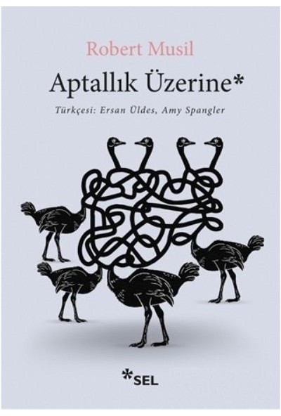 Aptallık Üzerine - Robert Musil Aptallık Üzerine - Robert Musil