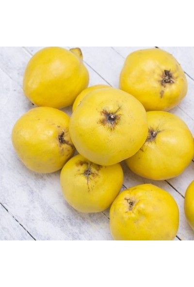 Mutlu Sebzeler Ayva (1Kg)