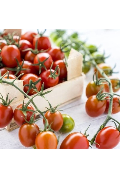 Mutlu Sebzeler Kokteyl Domates 500gr Mutlu Sebzeler Kokteyl Domates 500gr