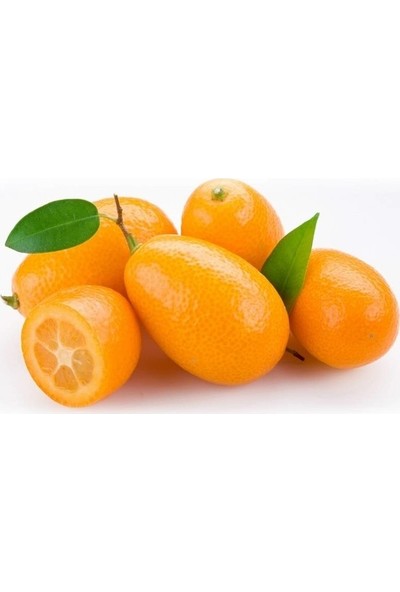 Mutlu Sebzeler Kumkat (1Kg) Mutlu Sebzeler Kumkat (1Kg)
