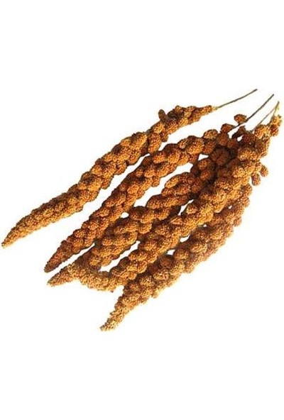 Woddy Kızıl dal Darı 220-250 Gr