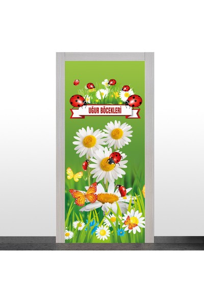 Okularenkkat Uğur Böcekleri Sınıfı Kapı Giydirme