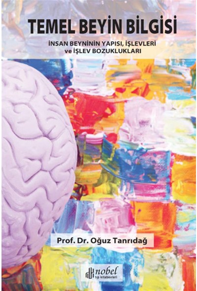 Temel Beyin Bilgisi: İnsan Beyninin Yapısı, İşlevleri ve İşlev Bozuklukları