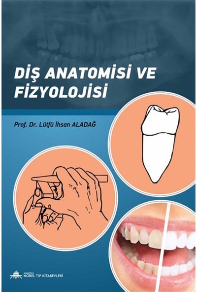 Diş Anatomisi ve Fizyolojisi