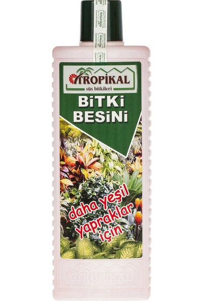 Tropikal Daha Yeşil Yapraklı Bitki Besini
