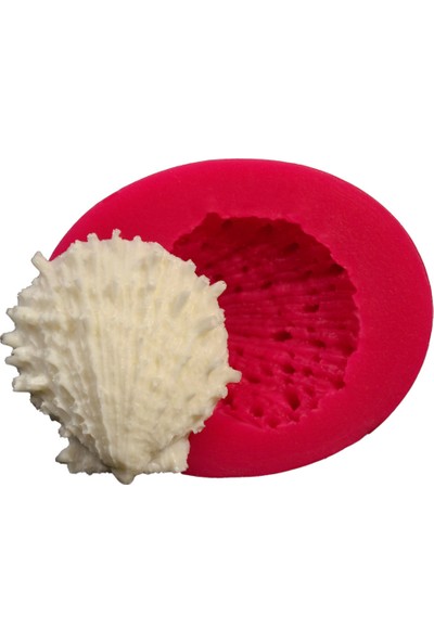 Cesil Deniz Kabuğu - 3 Kokulu Taş ve Sabun Kalıbı (4,5*4Cm)
