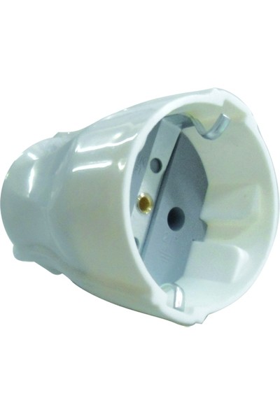 Baysal Topraklı Dişi Fiş Baysal Topraklı Dişi Fiş