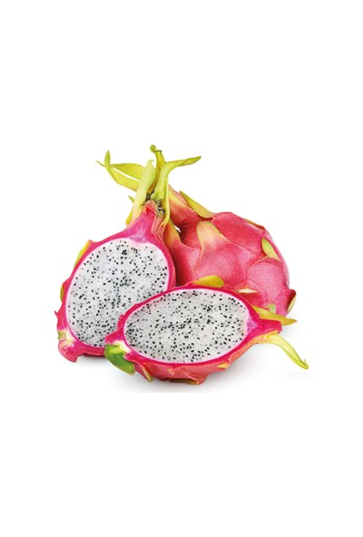 Babamın Bahçesi Beyaz Pitaya (Ejder Meyvesi ) Babamın Bahçesi Beyaz Pitaya (Ejder Meyvesi )