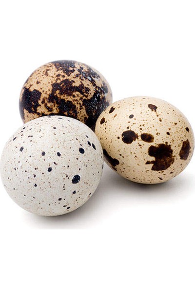 Bigadan Köy Usulü Bıldırcın Yumurtası 30 Adet