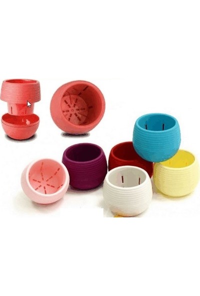 Plantistanbul Elvan Saksı (Kaktüs Saksısı) Karışık Renk, 0,13 Litre, 10 Adet