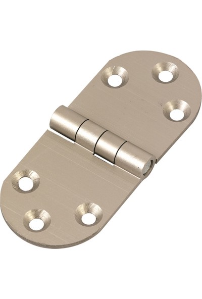 Arpat 4 Cm X 10 Cm Alüminyum Uzun Masa Menteşe Saten Ar A188 01