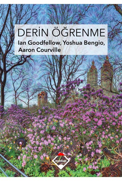 Derin Öğrenme (Renkli Baskı – Sıvama Cilt Kapaklı) - Ian Goodfellow - Yoshua Bengio - Aaron Courville