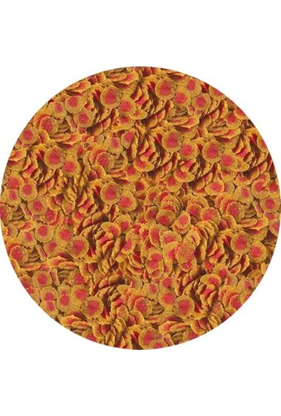 Tetra Pro Colour 100gr Balık Yemi Kovadan Bölme Tetra Pro Colour 100gr Balık Yemi Kovadan Bölme