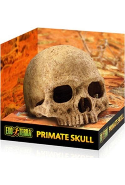 Exo Terra Kafatası Şekilli Sürüngen Yuvası