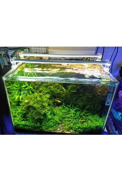 Aqua Led Led Aydınlatma Armatür Daylight 50Cm 3000K Aqua Led Led Aydınlatma Armatür Daylight 50Cm 3000K