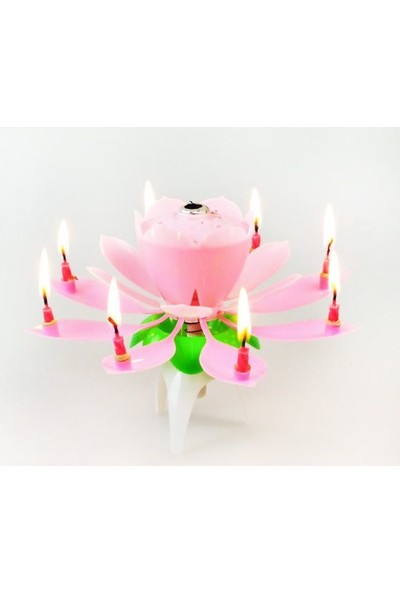Partici Müzikli Kendiliğinden Açılabilir Pasta Mumu