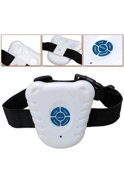 Tokyo Köpek Havlama Tasması