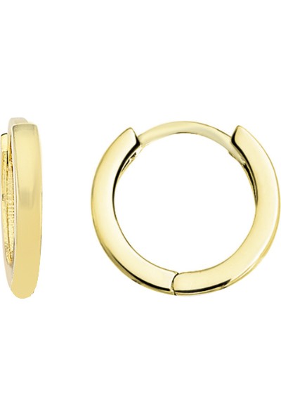 AltınSepeti Altın Küçük Halka Küpe AS270KP