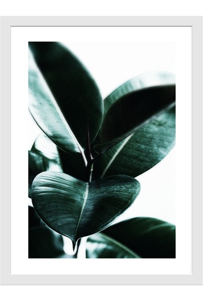 Normmade Palm 3 Beyaz Çerçeveli Baskı