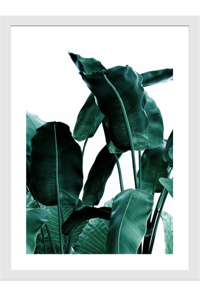 Normmade Banana Leaf Beyaz Çerçeveli Baskı