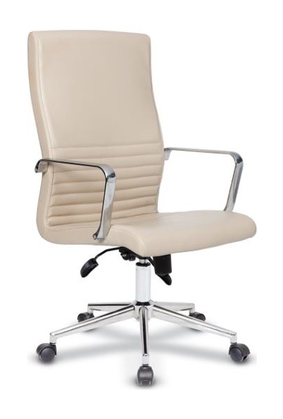 Asbir Rigel Side Yönetici Koltuğu Çalışma Koltuğu Asbir Rigel Side Yönetici Koltuğu Çalışma Koltuğu