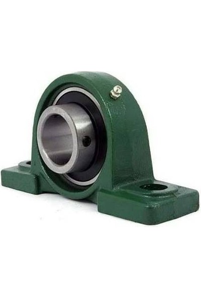 Heissen Plus Ucp 207 Yataklı Rulman