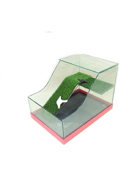 Giristpet Pembe Renk Cam Kaplumbağa Bahçesi Kaplumbağa Havuzu Kaplumbağa Evi Giristpet Pembe Renk Cam Kaplumbağa Bahçesi Kaplumbağa Havuzu Kaplumbağa Evi