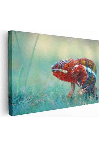 DCCA4910 - Bukalemun Kanvas Tablo